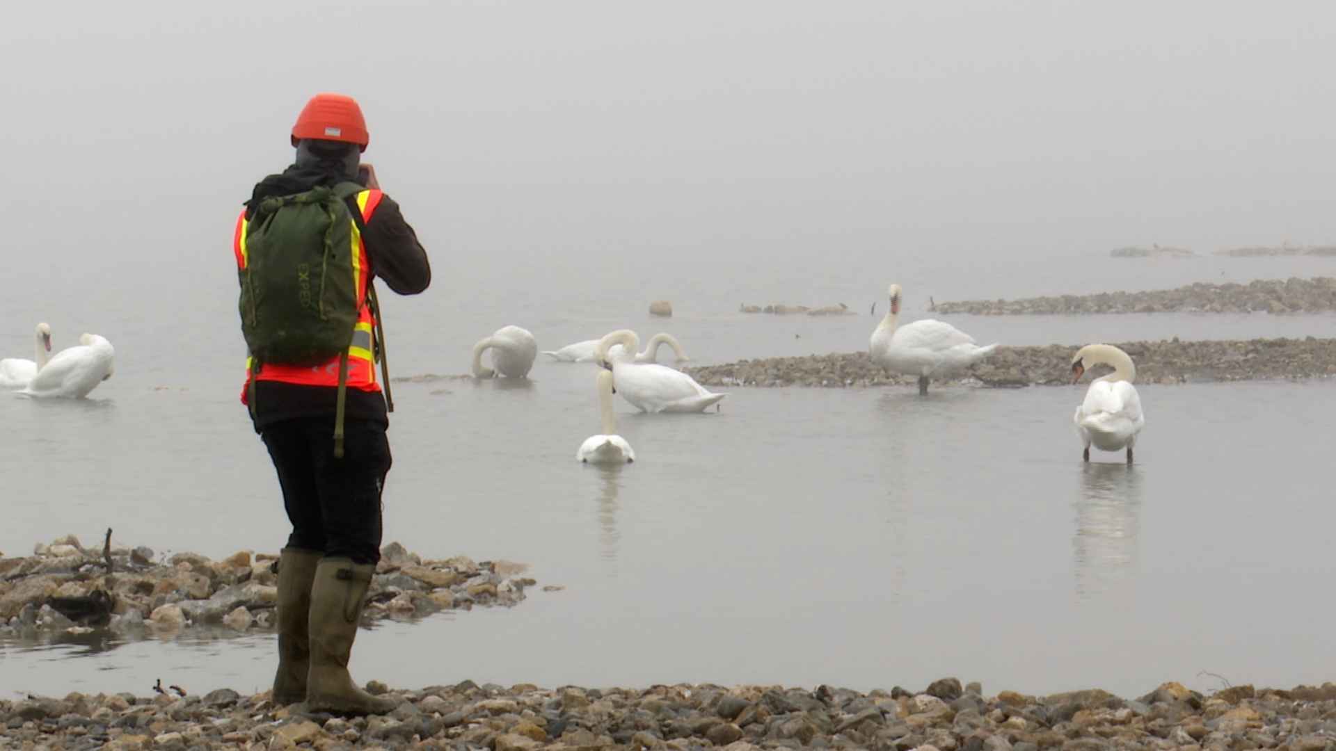 Au coeur du chantier des îles du Fanel - Canal Alpha