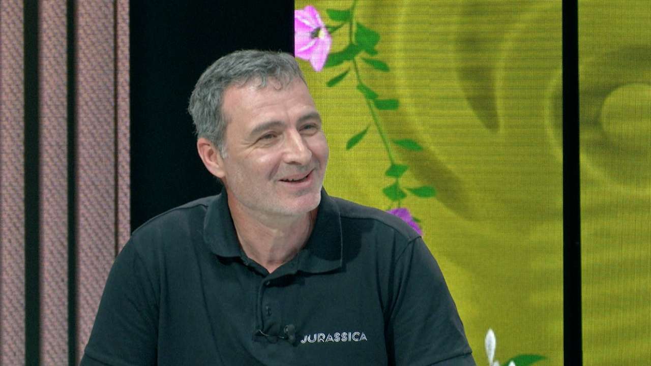 Damien Becker, Directeur du Jurassica Museum, est notre invité - Canal ...