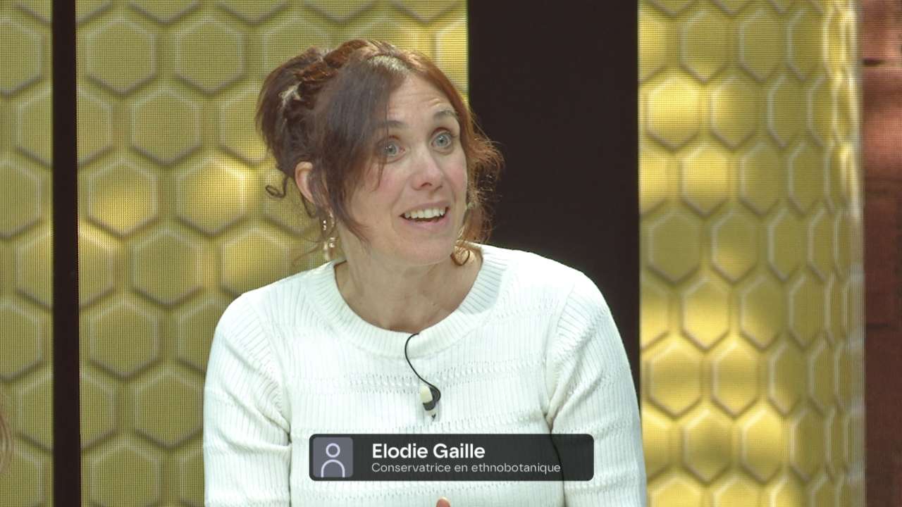 Interview: Elodie Gaille - Canal Alpha
