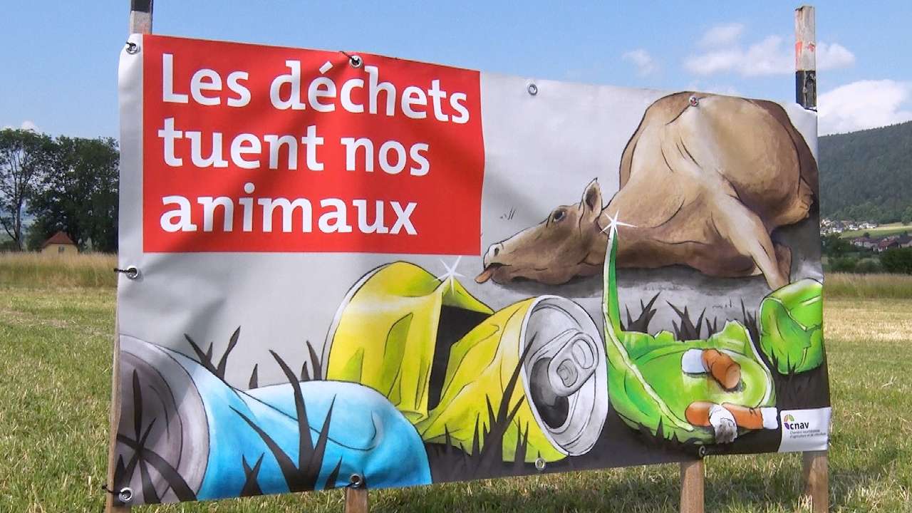 Une campagne pour sauver les animaux des déchets - Canal Alpha