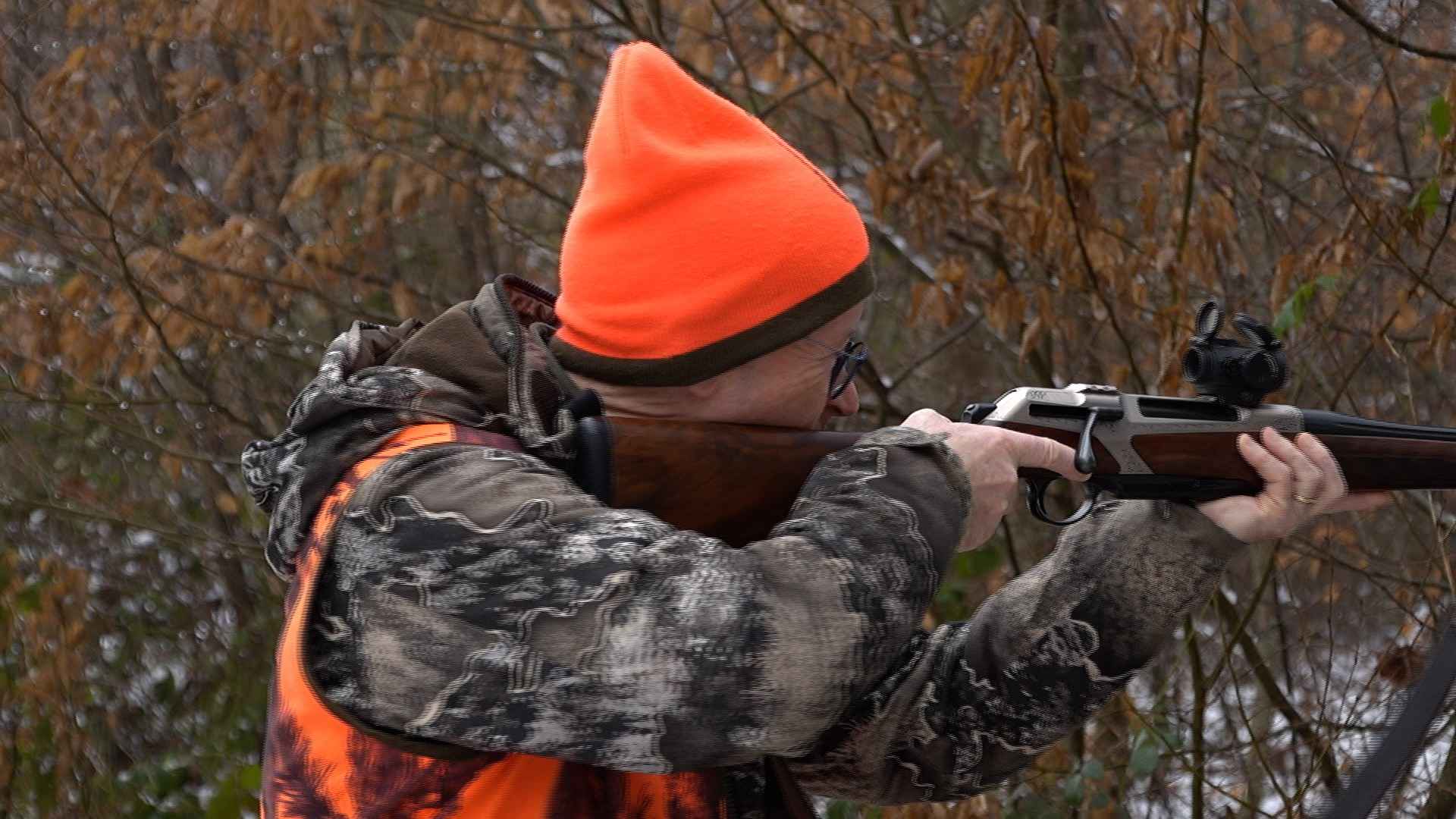 Pourquoi le sanglier est traqué dans le Jura - Canal Alpha